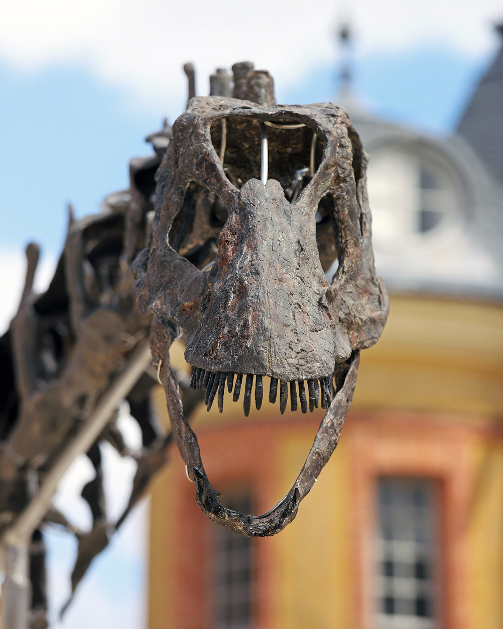 Dino Auction: Bid on the Majestic Vulcain Apatosaurus Skeleton